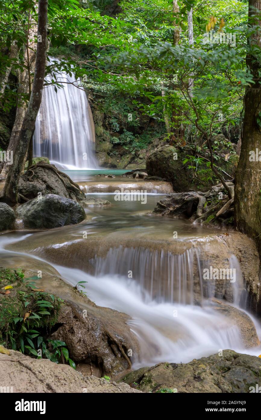 Clean green emerald water from the waterfall Surrounded by small trees ...
