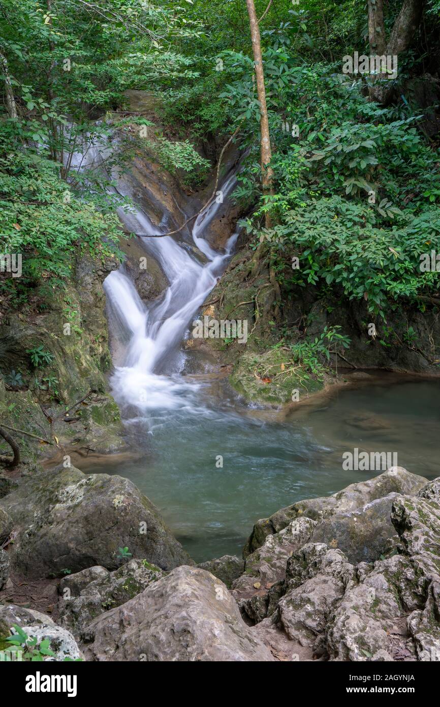 Clean green emerald water from the waterfall Surrounded by small trees ...