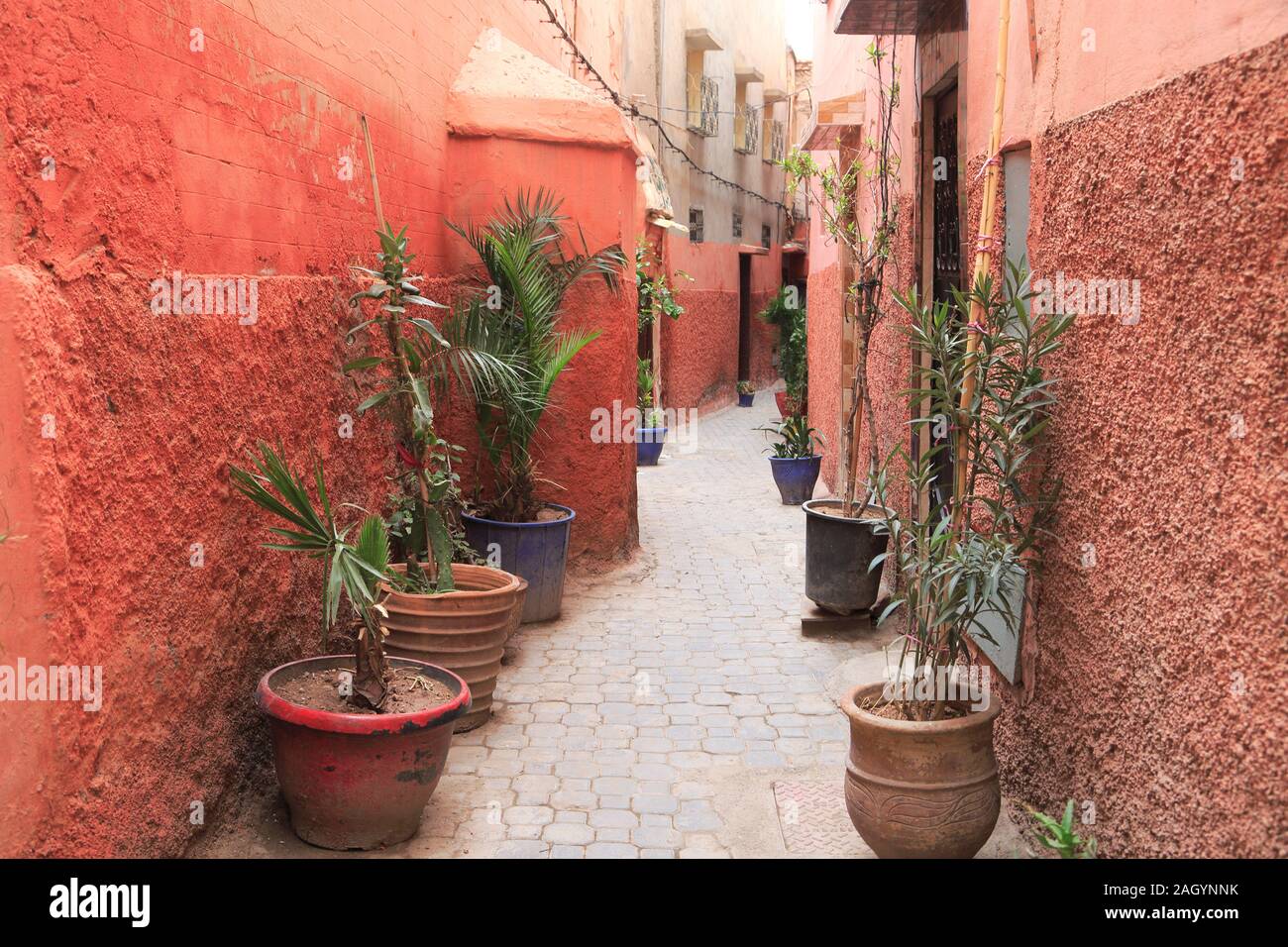 Old City, Medina, UNESCO World Heritage Site, Marrakesh, Marrakech ...