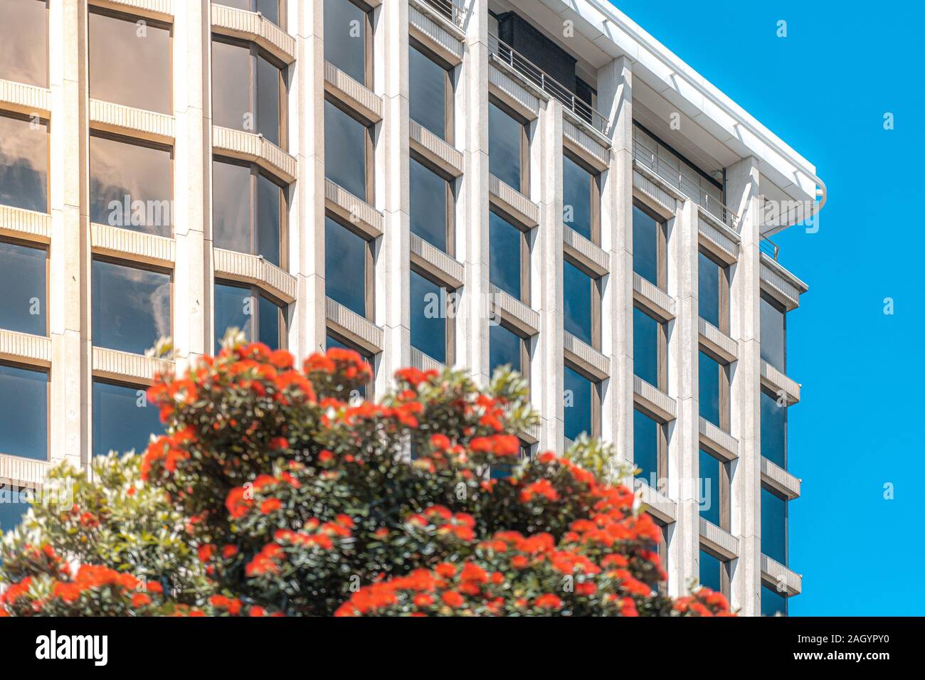 Wellington Office Building. Close up of the office building in ...