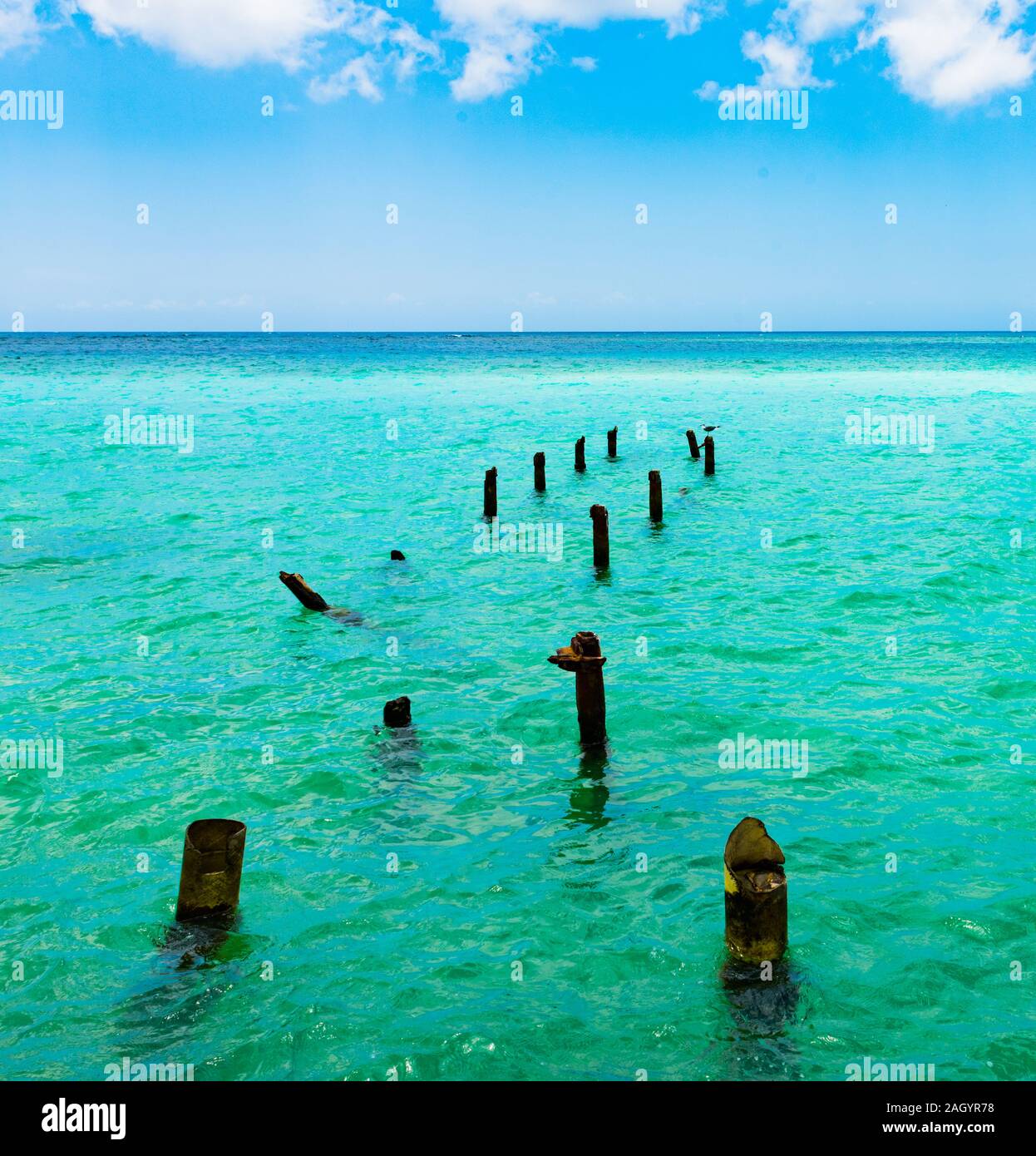 Dock pilings hi-res stock photography and images - Alamy