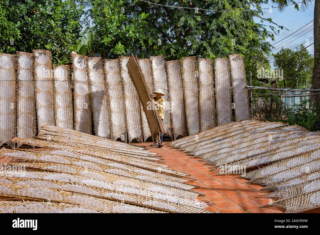 Man drying rice paper Stock Photo - Alamy