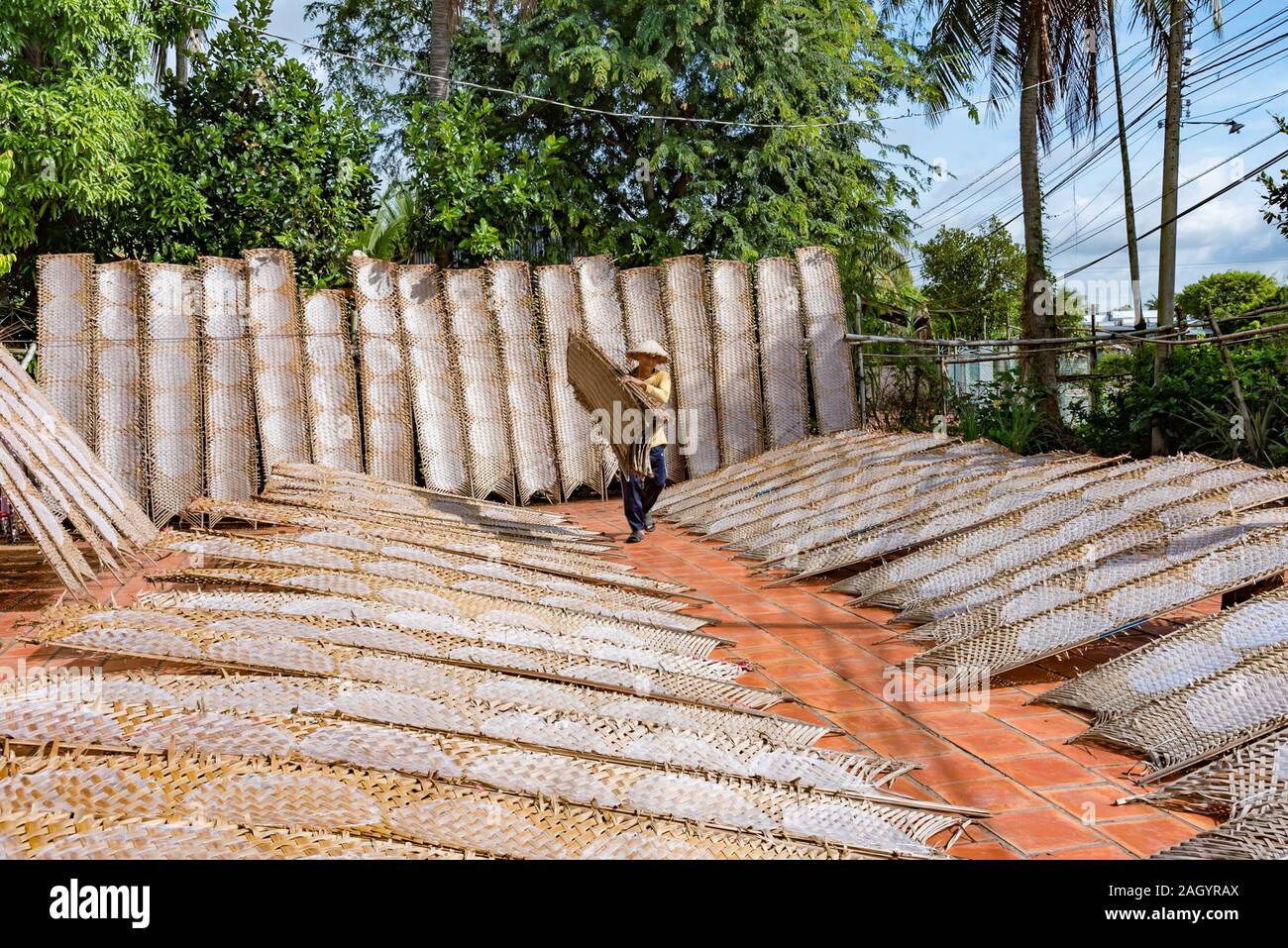 Man drying rice paper Stock Photo - Alamy