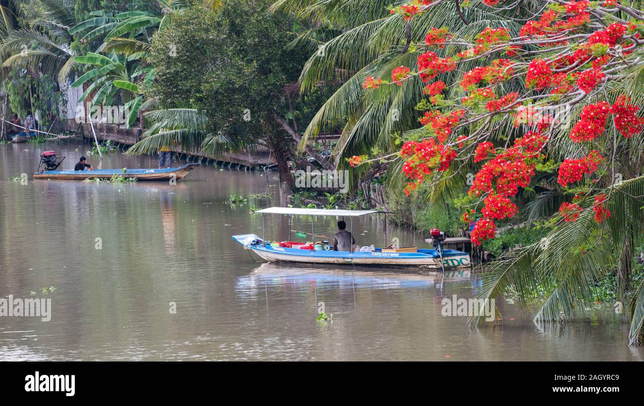 Hau tree hi-res stock photography and images - Alamy