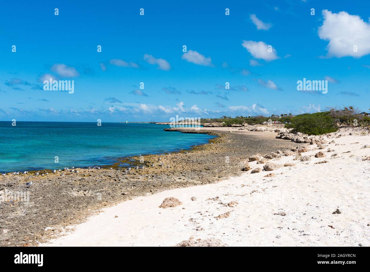 Malmok - Aruba beach Stock Photo - Alamy
