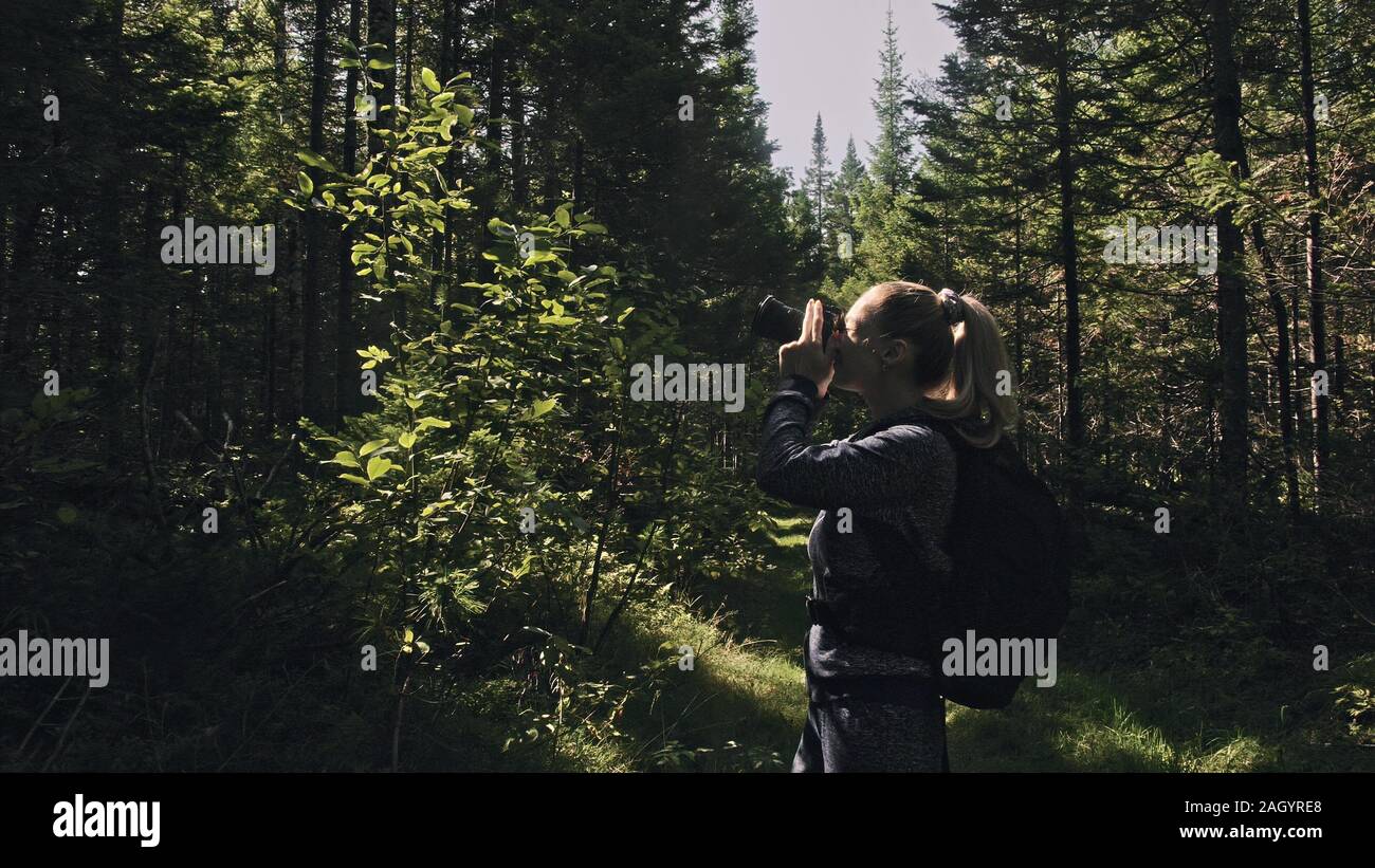 Slr magic hi-res stock photography and images - Alamy