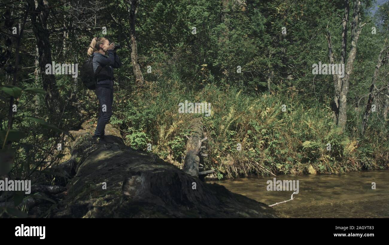 Traveler photographing scenic view in forest river. Wood bridge fallen ...