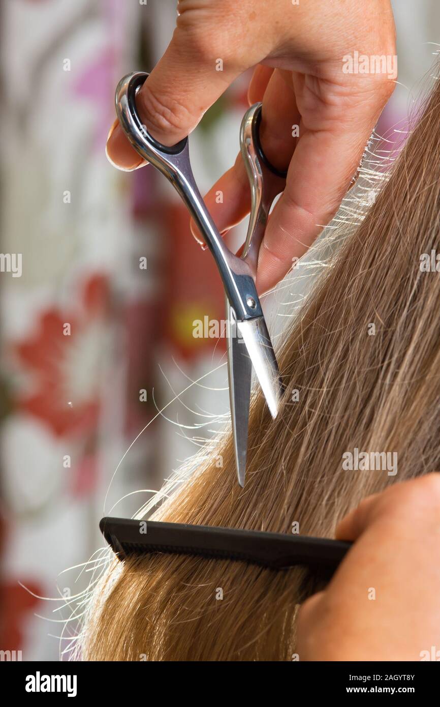hand of hairdresser trimming hair with scissors, closeup Stock Photo ...