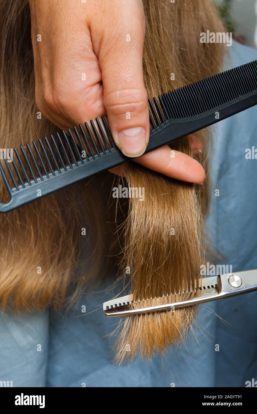 Women hair cut hi-res stock photography and images - Alamy