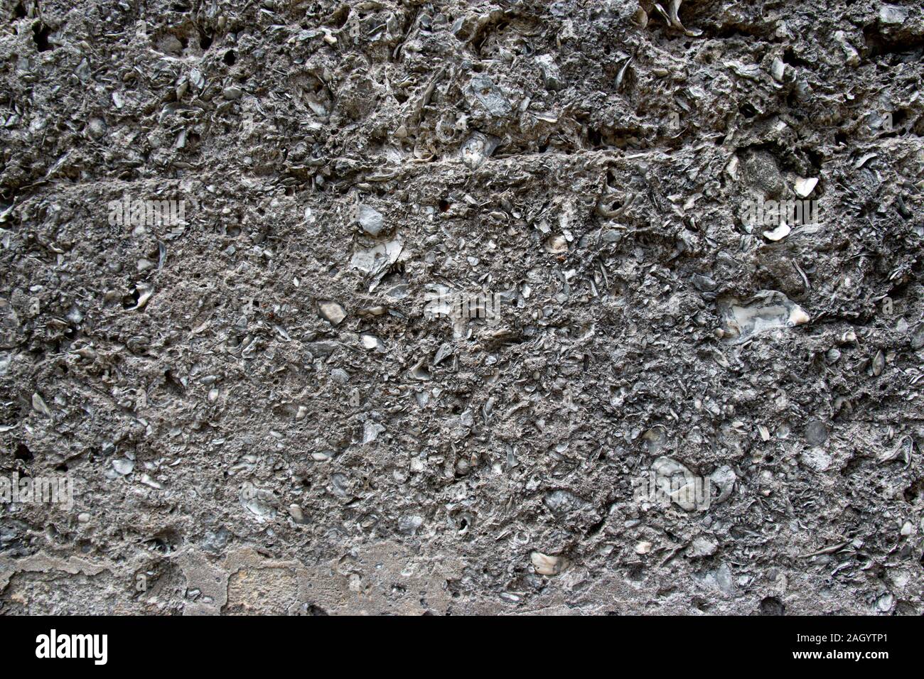 A concrete mix with sea shells as the aggregate Stock Photo - Alamy