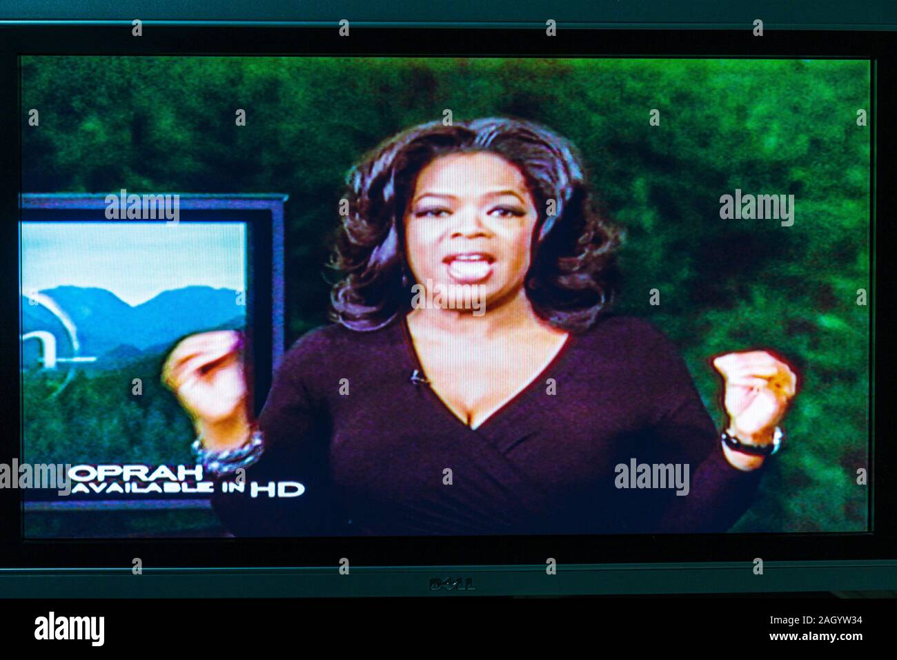 Miami Beach Florida,television,set,TV,flat panel,screen,monitor,Oprah ...