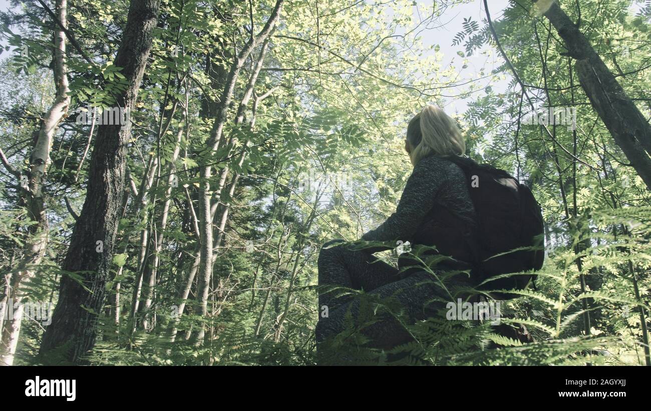Traveler photographing scenic view in forest. One caucasian woman shooting nice magic look. Girl ...