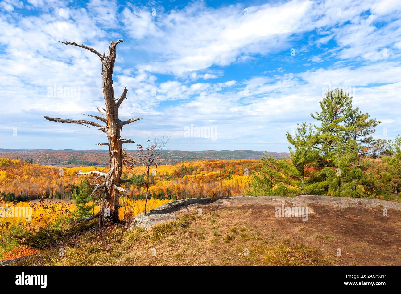 hilltop view of vibrant changing fall colors Stock Photo - Alamy