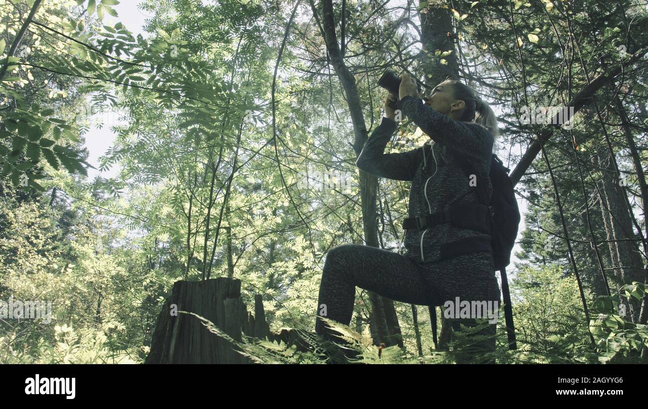 Traveler photographing scenic view in forest. One caucasian woman ...