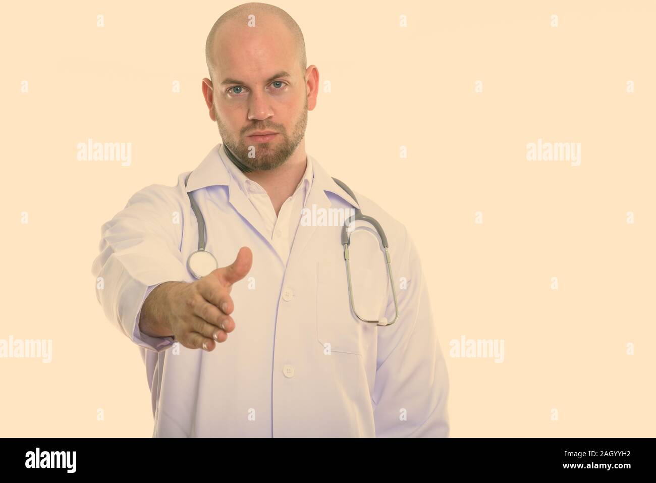 Studio shot of young bald muscular man doctor giving handshake Stock ...
