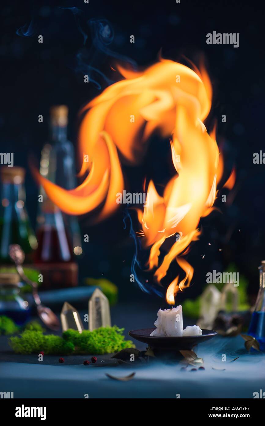 Fire fox hi-res stock photography and images - Alamy