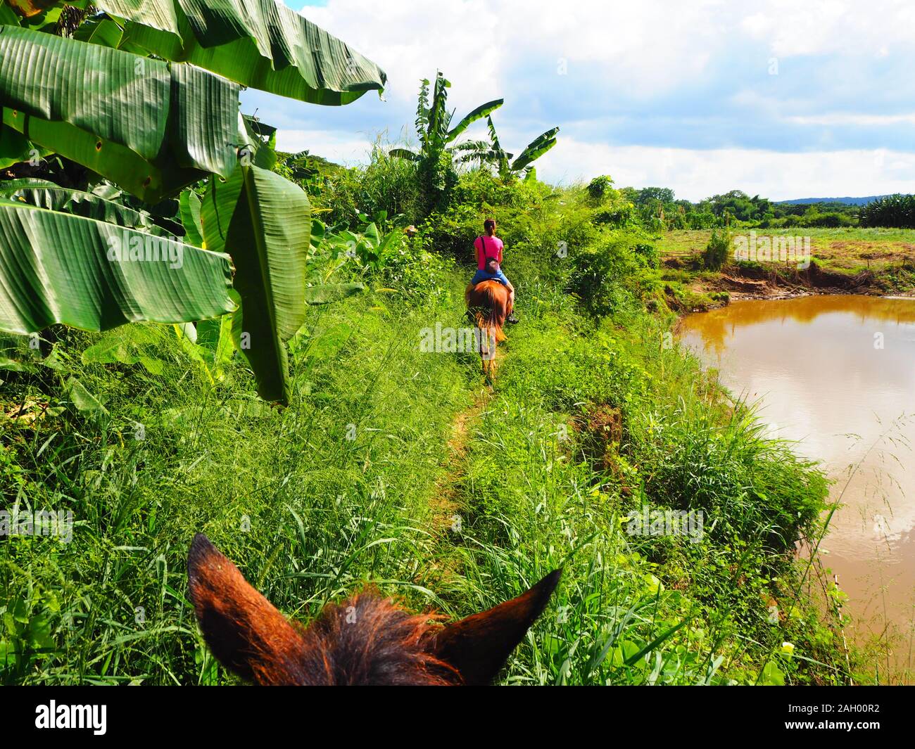 Girl going Horse Riding Stock Photo - Alamy
