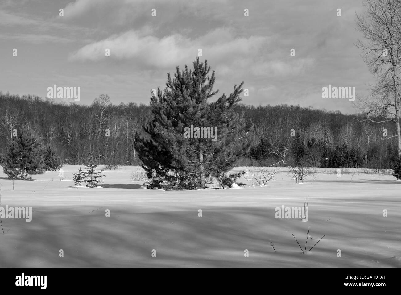 Remote id Black and White Stock Photos & Images - Alamy