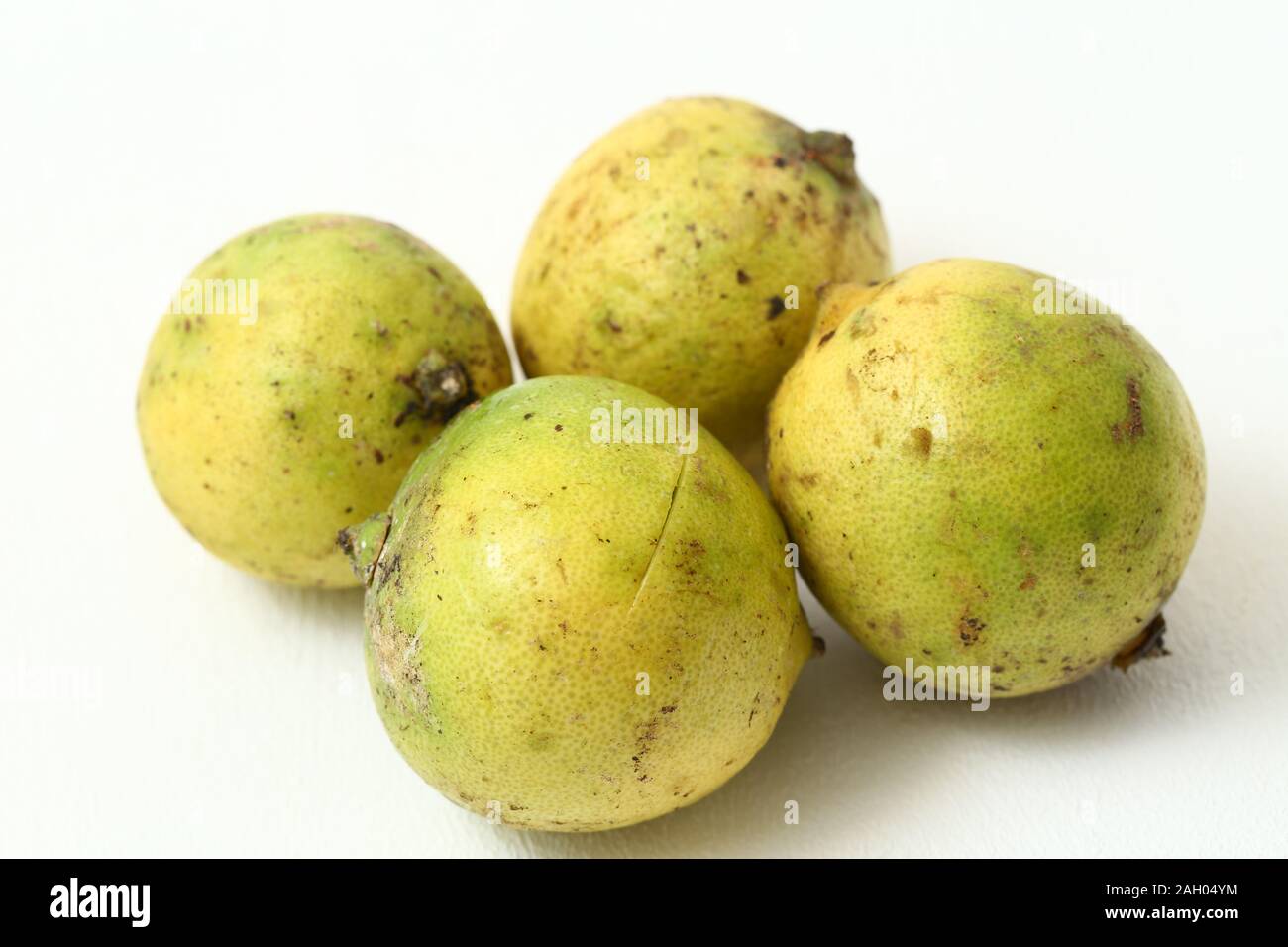 fresh key limes isolated on white background Stock Photo - Alamy