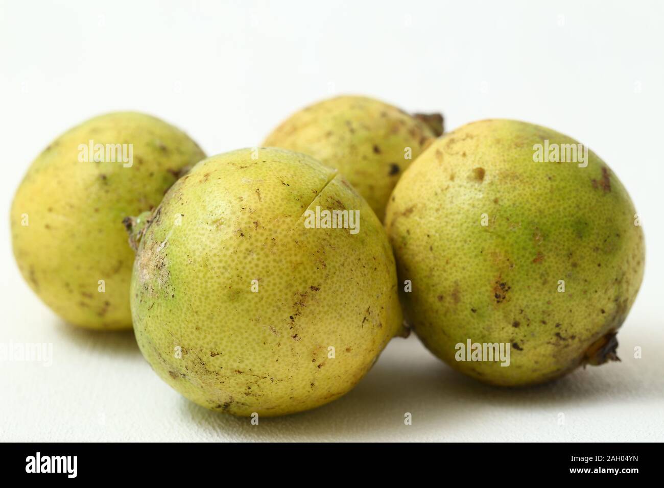 fresh key limes isolated on white background Stock Photo - Alamy