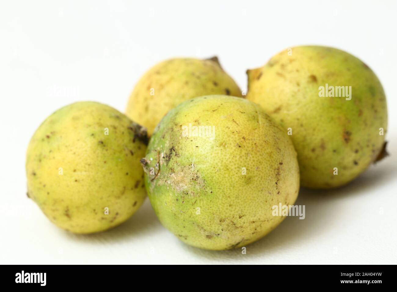 fresh key limes isolated on white background Stock Photo - Alamy