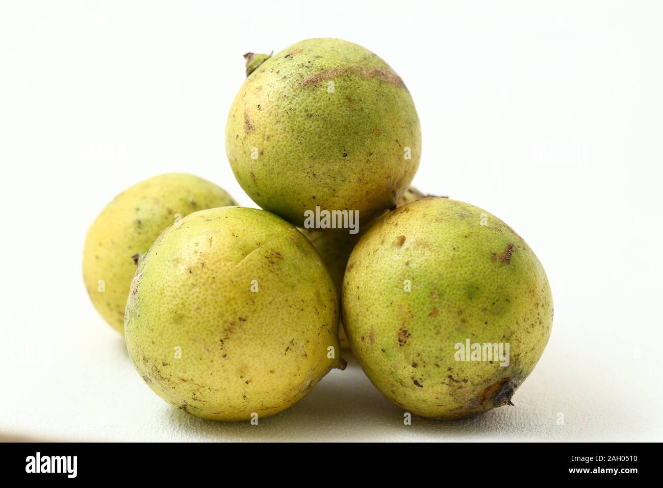 Key limes isolated hi-res stock photography and images - Alamy