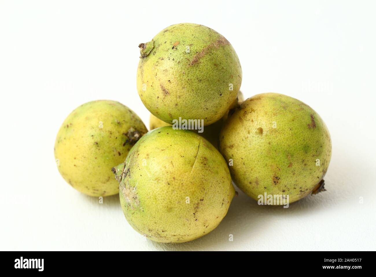 Key limes isolated hi-res stock photography and images - Alamy