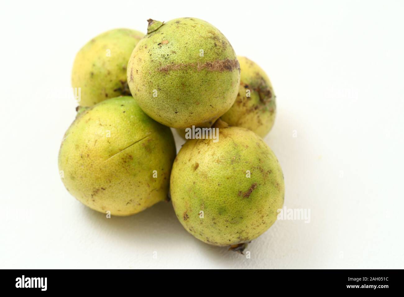 fresh key limes isolated on white background Stock Photo - Alamy