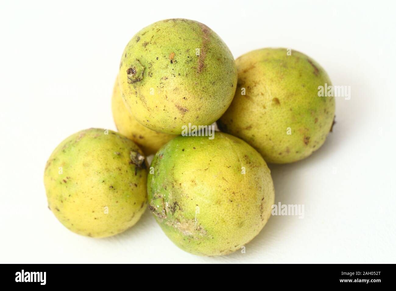 fresh key limes isolated on white background Stock Photo - Alamy