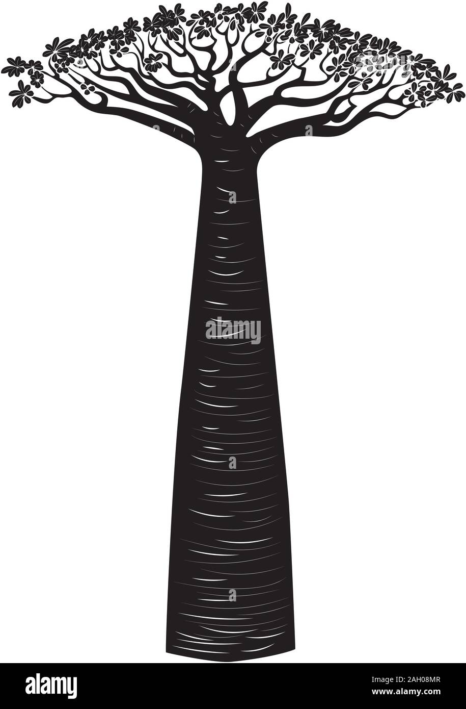 Baobab Tree Silhouette