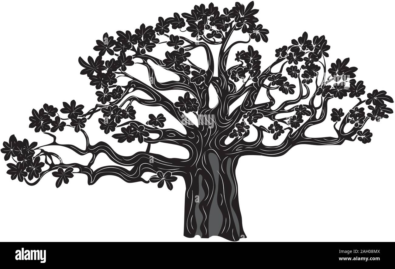 Stylized baobab tree, abstract tree silhouette design illustration ...
