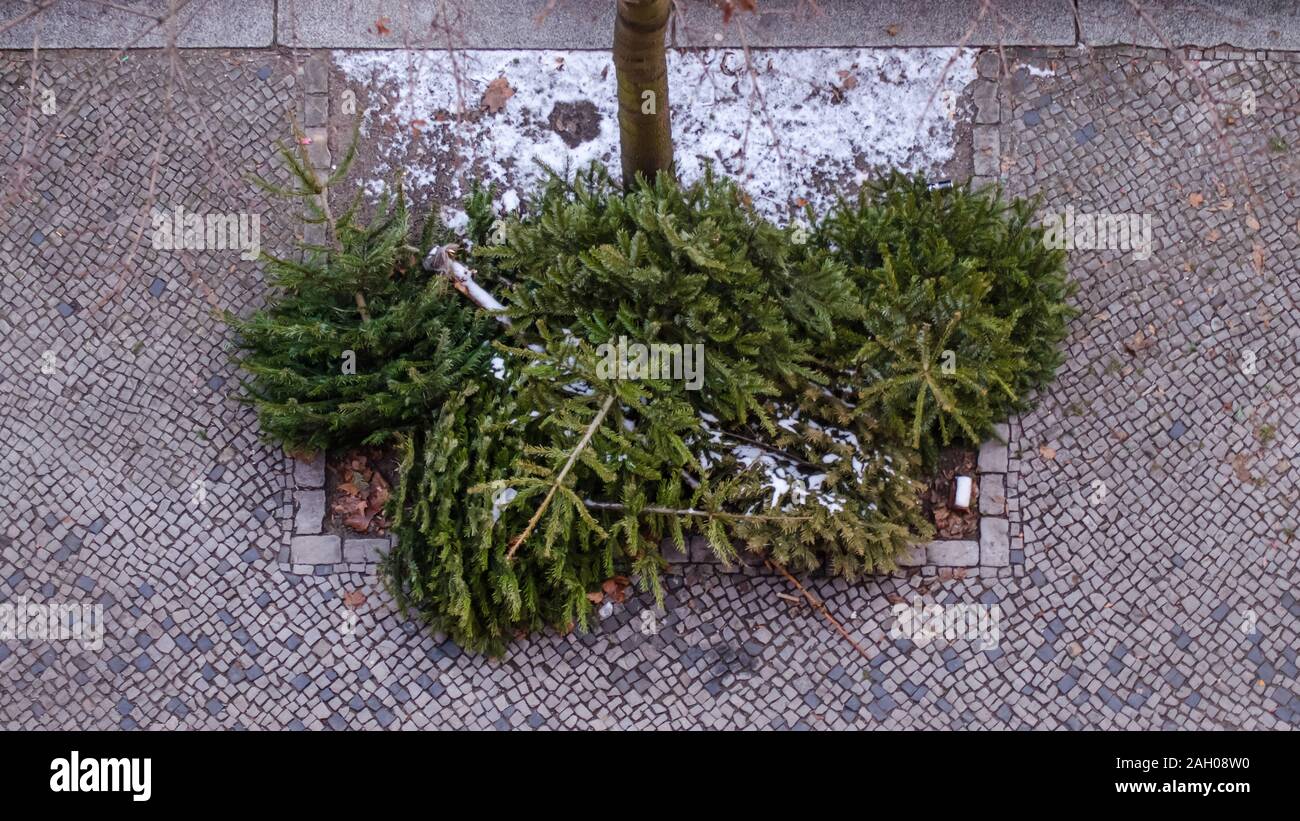 Dead christmas tree hi-res stock photography and images - Alamy
