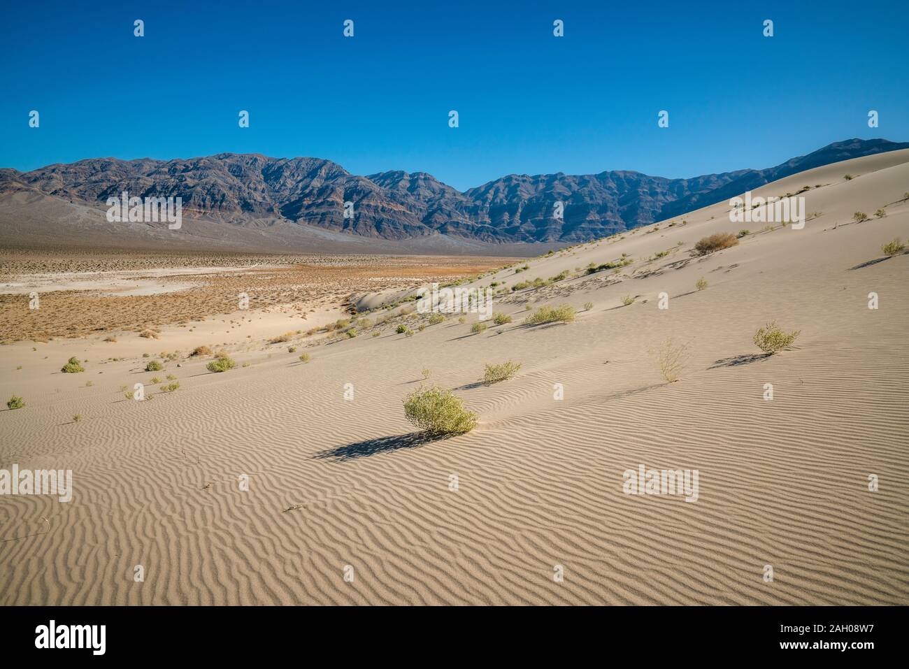 Death Valley National Park, the hottest place on Earth. Eureka sand ...