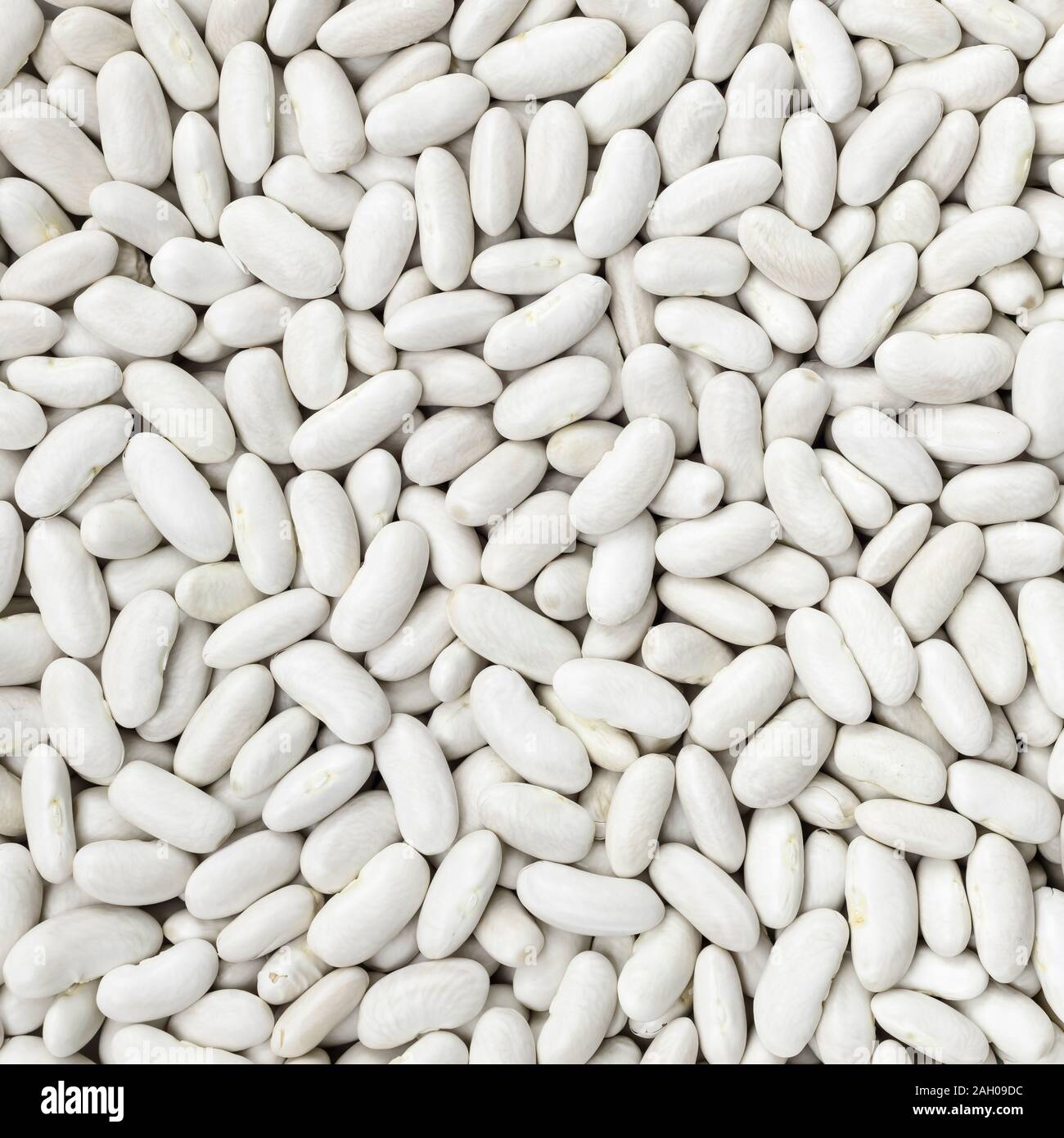 White common beans hi-res stock photography and images - Alamy