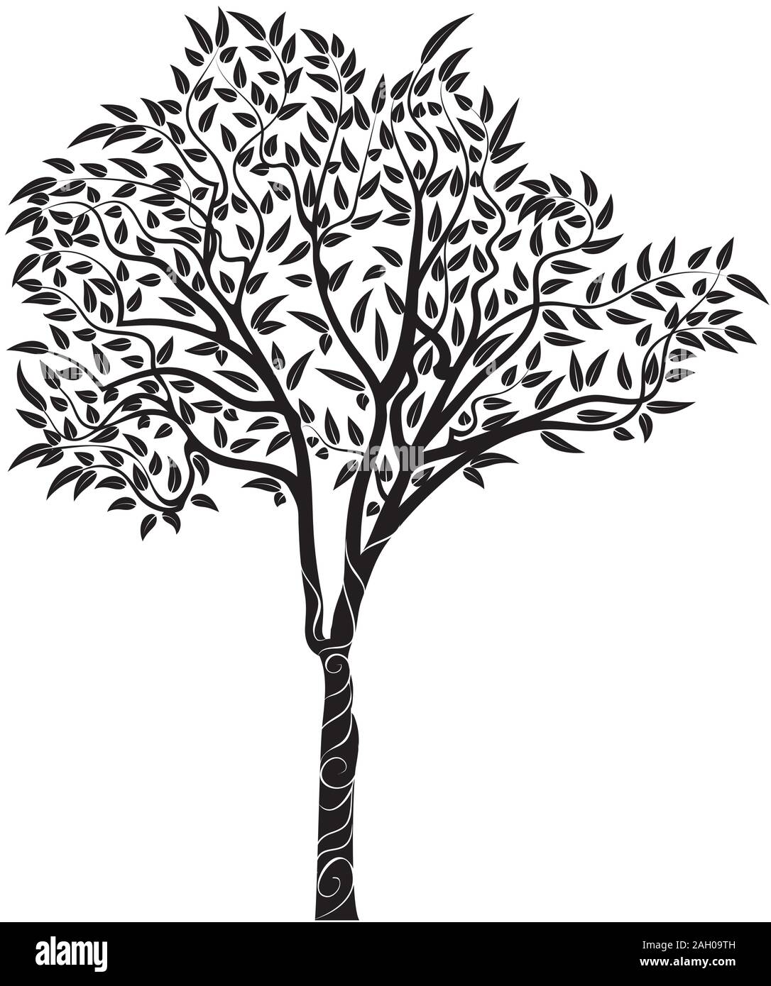 Eucalyptus Tree Drawing Easy