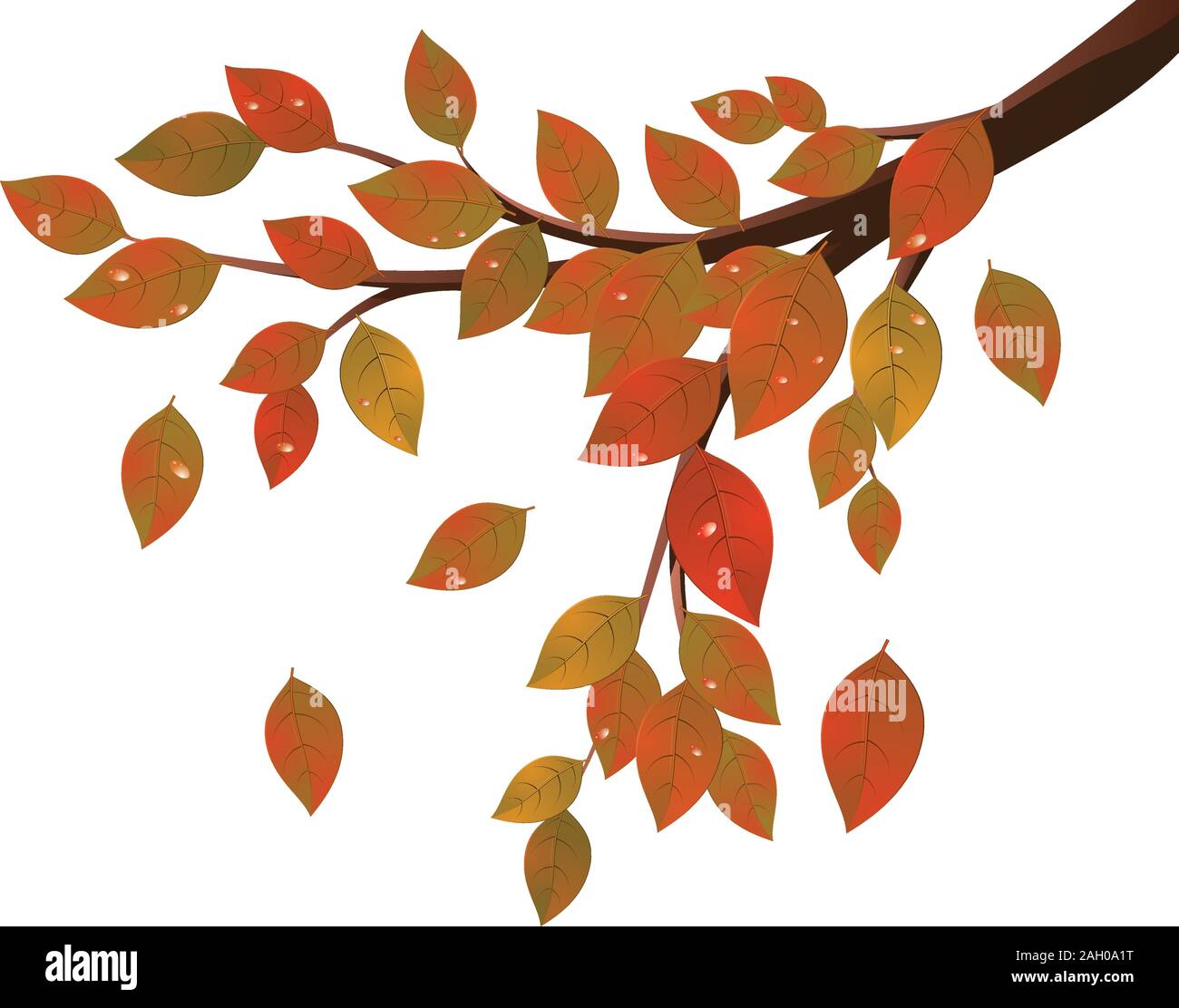 Tree branch with colorful falling leaves, autumn season Stock Vector ...