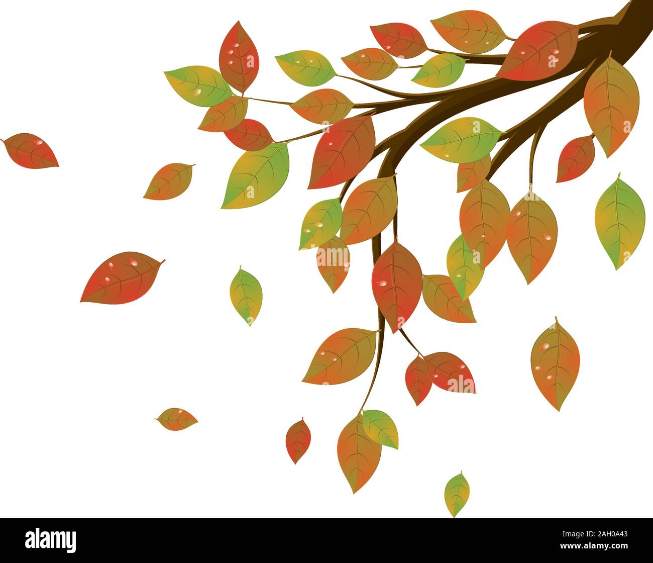 Tree branch with colorful falling leaves, autumn season Stock Vector ...