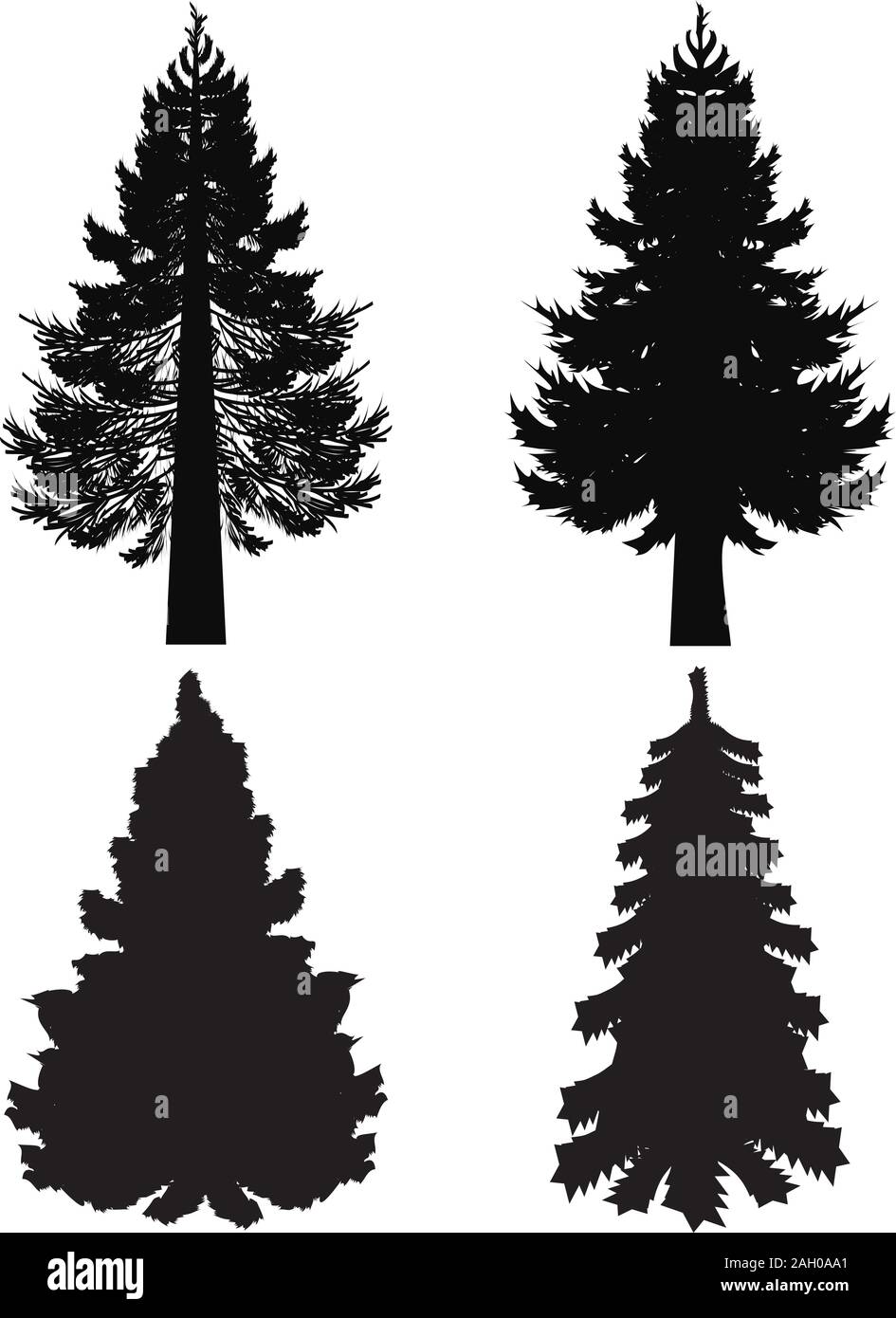 Collection of stylized black silhouettes of fir tree on white ...