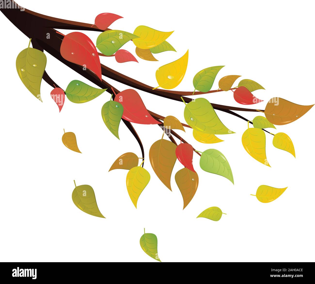 Tree branch with colorful falling leaves, autumn season Stock Vector ...