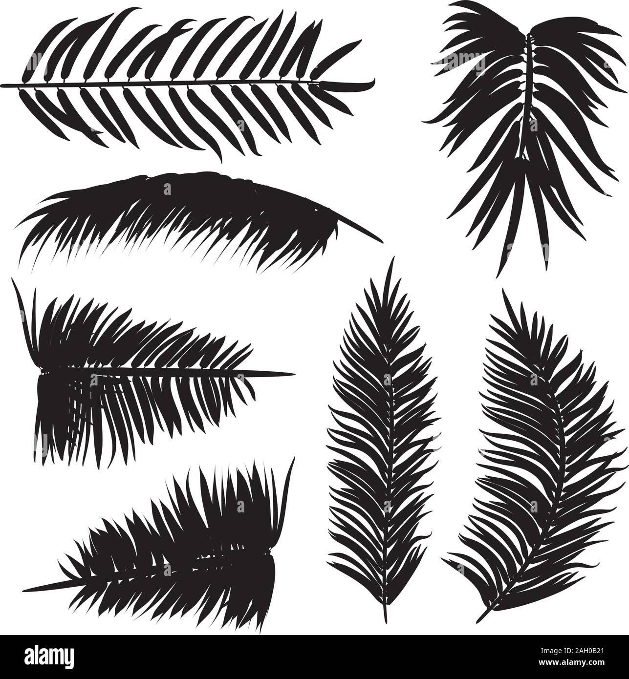 Set of palm tree leaves silhouettes in different styles Stock Vector ...