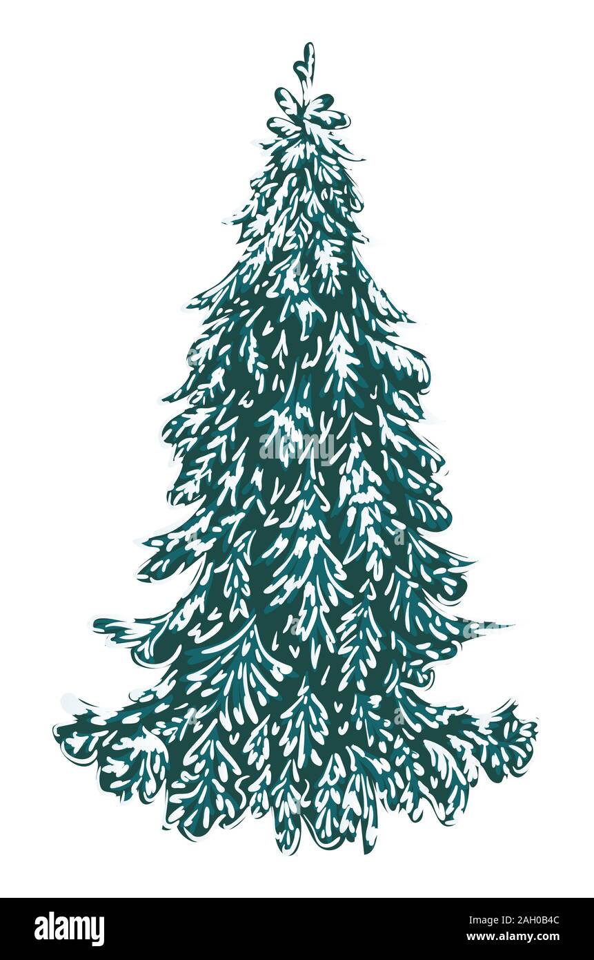 Evergreen tall tree Stock Vector Images - Alamy