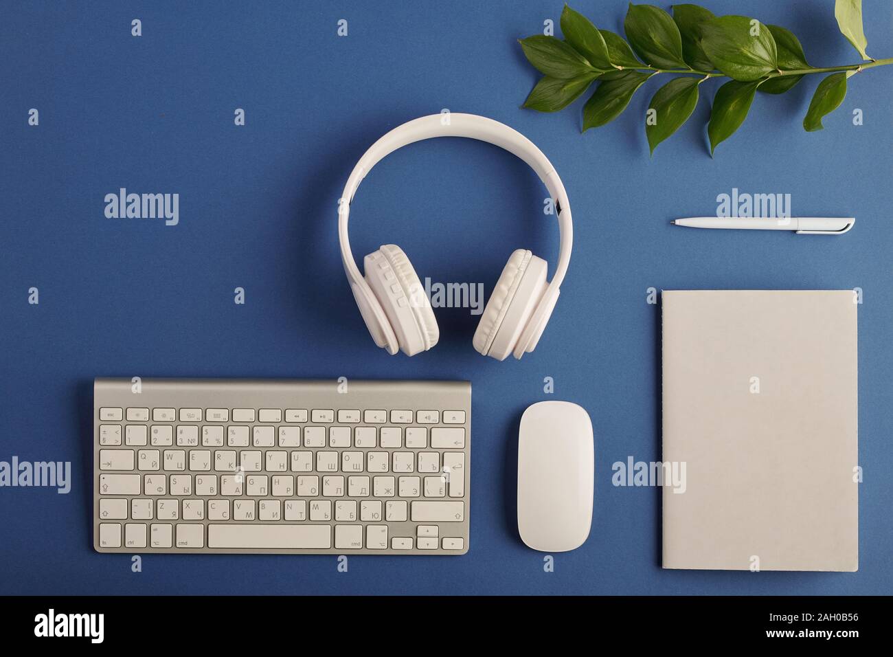 Keypad and mouse, branch with green leaves, headphones, notebook and ...
