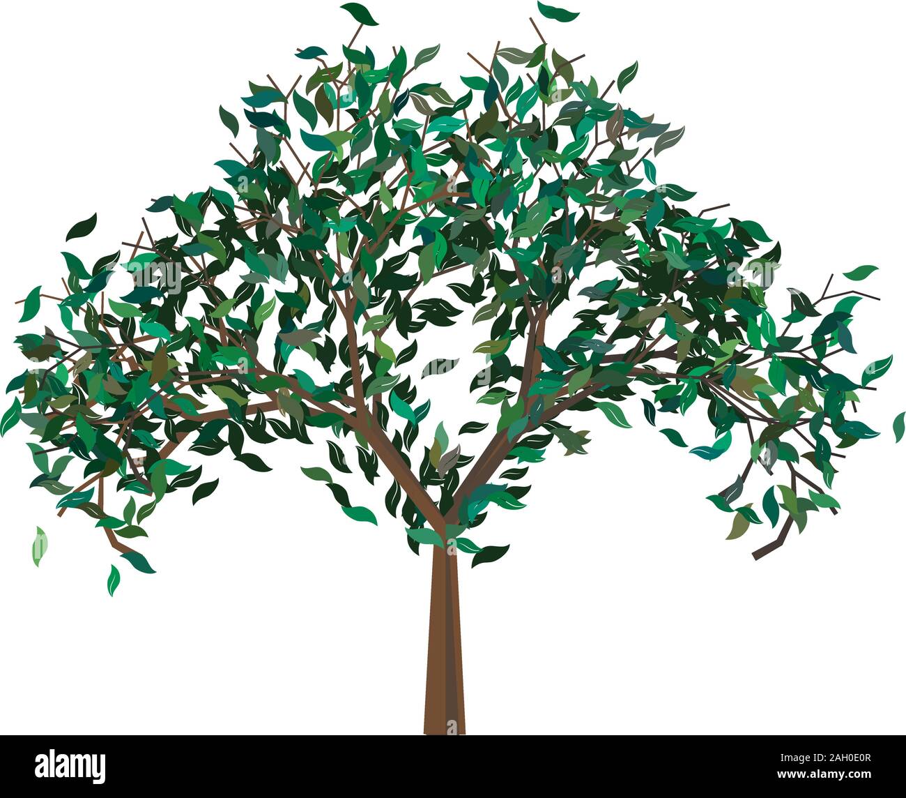 Abstract cartoon tree with stylized green leaves Stock Vector Image ...