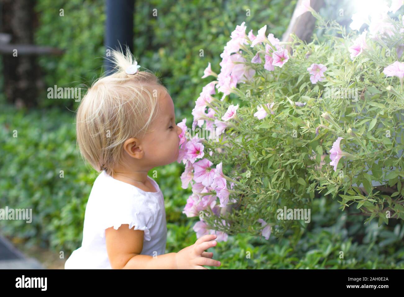 Children smell nose hi-res stock photography and images - Alamy