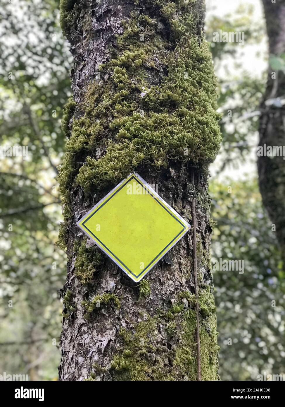 Yellow hiking sign rural hi-res stock photography and images - Alamy