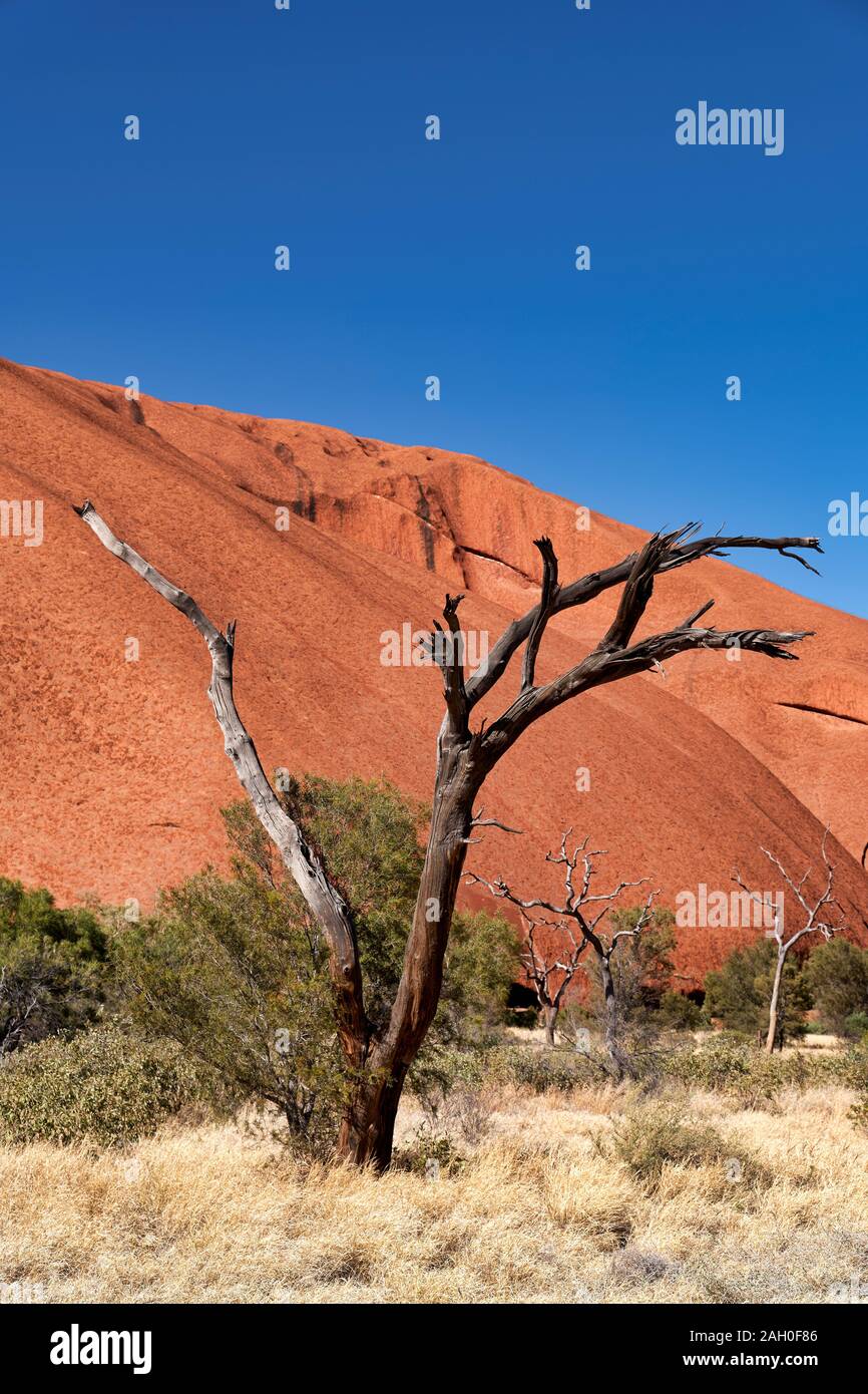 Aboriginal Australia Community High Resolution Stock Photography and ...