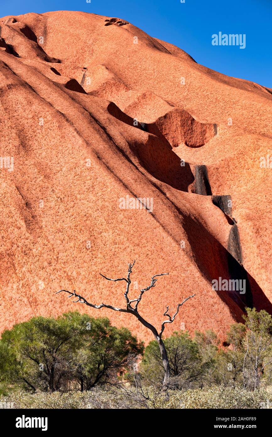 Australia erosion tree hi-res stock photography and images - Alamy