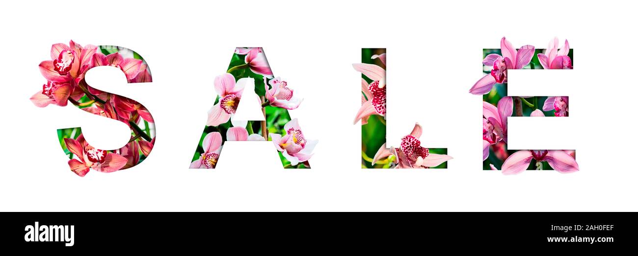 Sale. Text from orchids. Cut paper with real tropical flowers in the ...