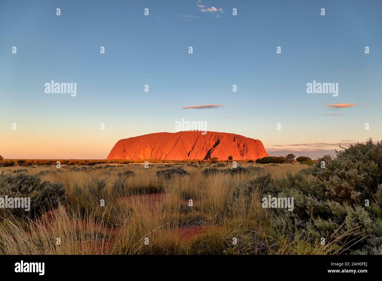 Field of light uluru hi-res stock photography and images - Alamy