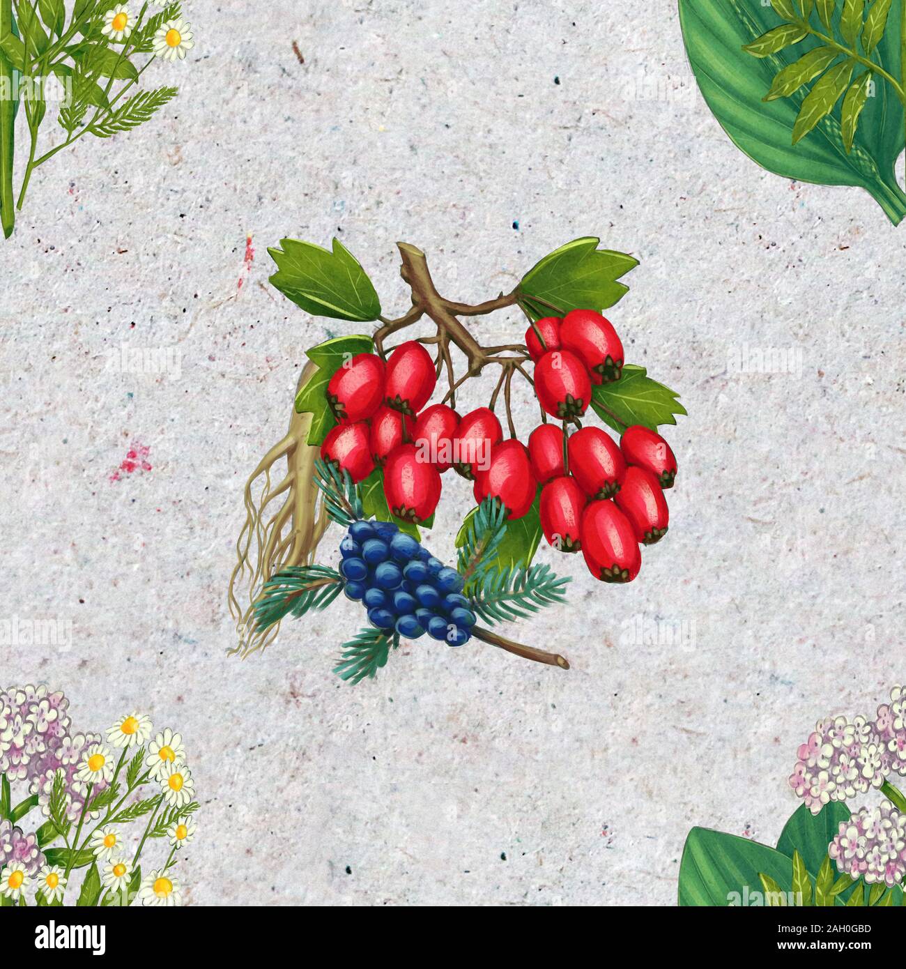 Hand drawn medicinal plant seamless pattern. Healing herbs drawing on ...